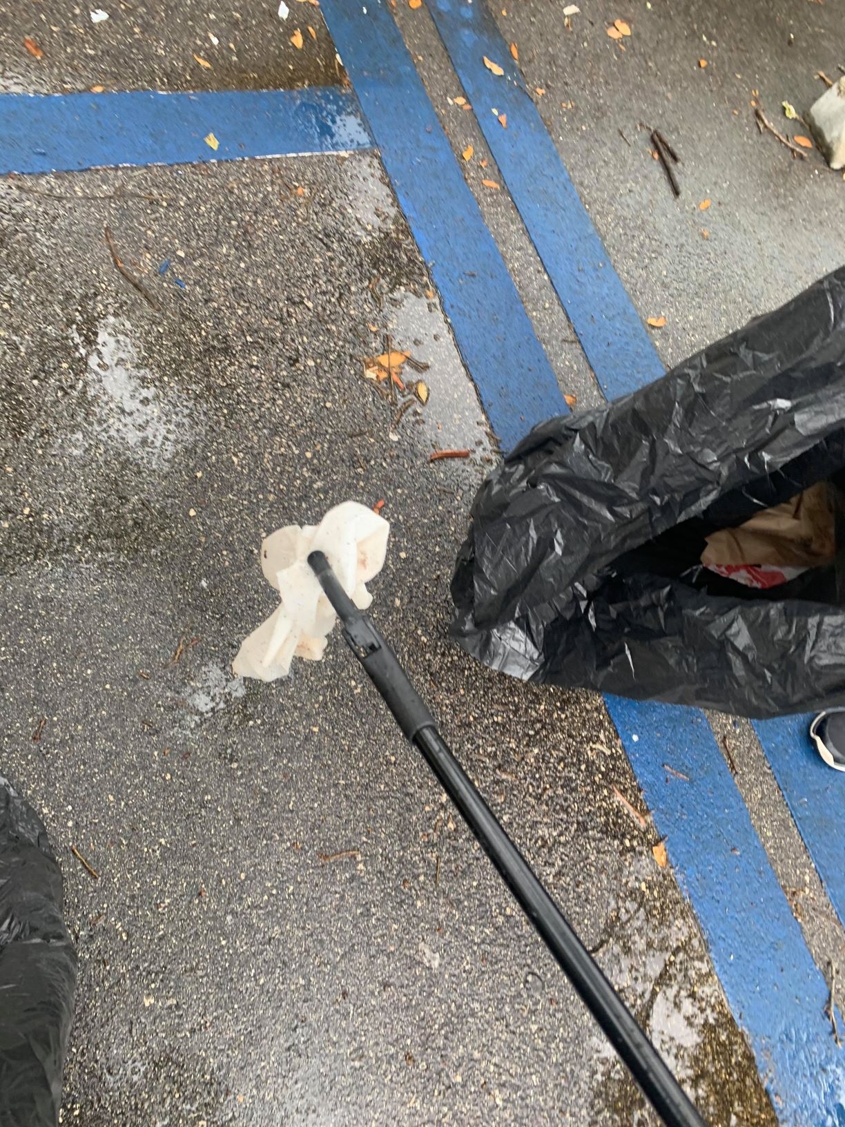 Broward County Waterway Clean-up - Gatica's Road